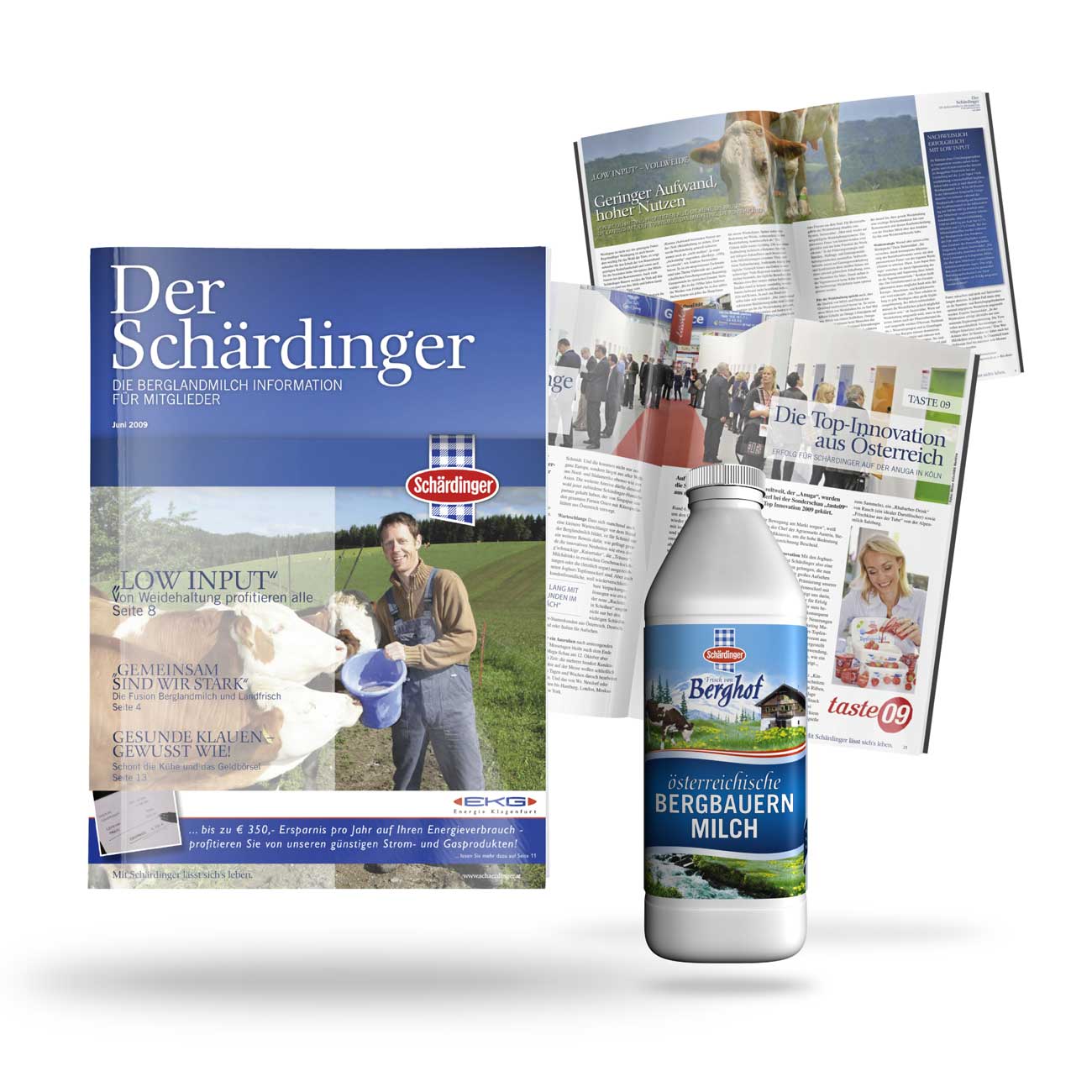 Dirk Baigent | Portfolio